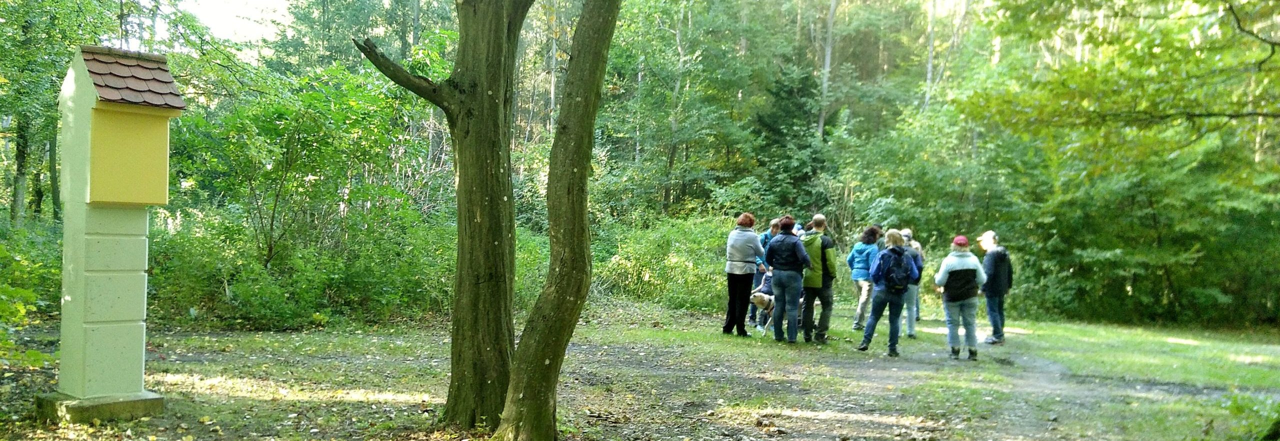 Special Issue “forest Ecosystem Services And Products” In Forests Nobel Payments For