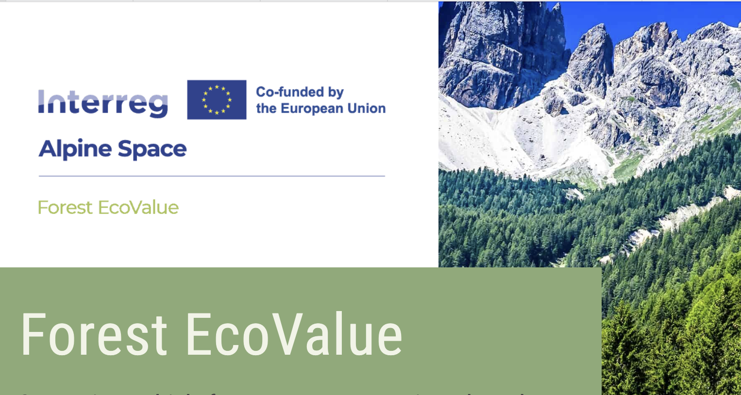 The Forest EcoValue Project: A New Project for Advancing Alpine Space ...